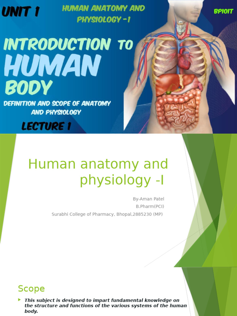 Anatomy and Physiology Overview | PDF | Anatomy | Human Body