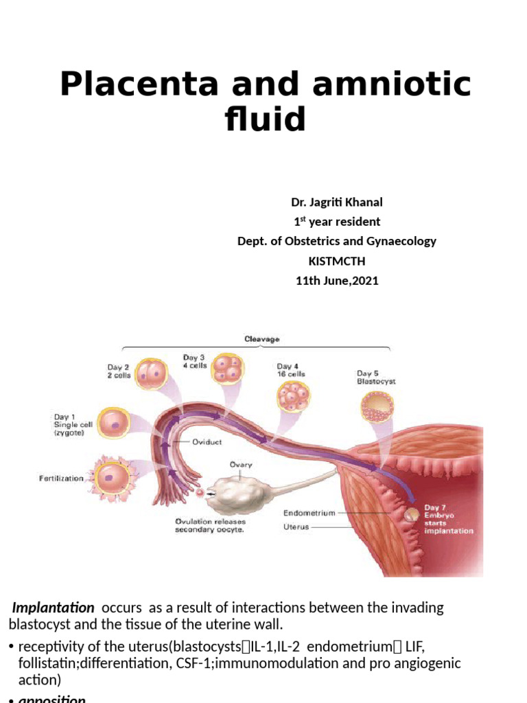 Placenta and Amniotic Fluid 2.0 - 67ad35da A36e 4842 A52b Cb8e3d994bba ...