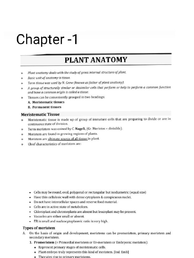 Plant Anatomy. | PDF