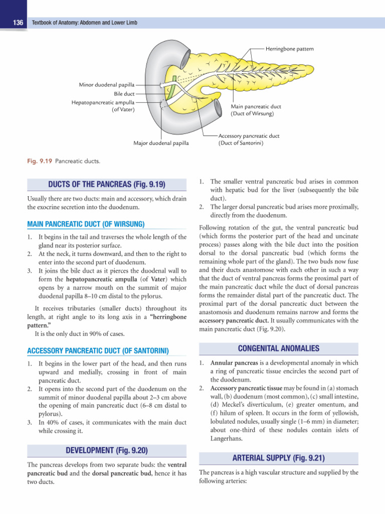 Pancreas Duct | PDF
