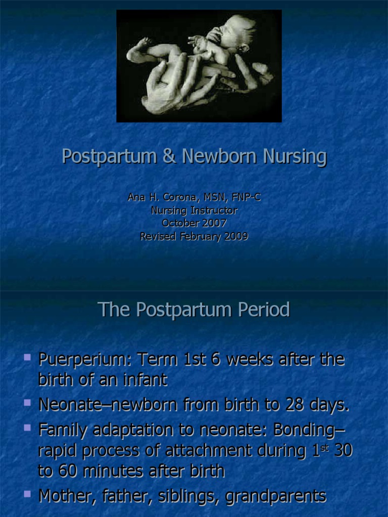 Postpartum Physical Assessment | PDF | Infants | Childbirth