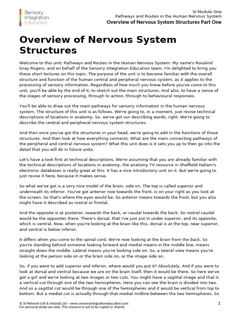 Overview of Nervous System Structures Part OneTranscript-220912-120417 ...