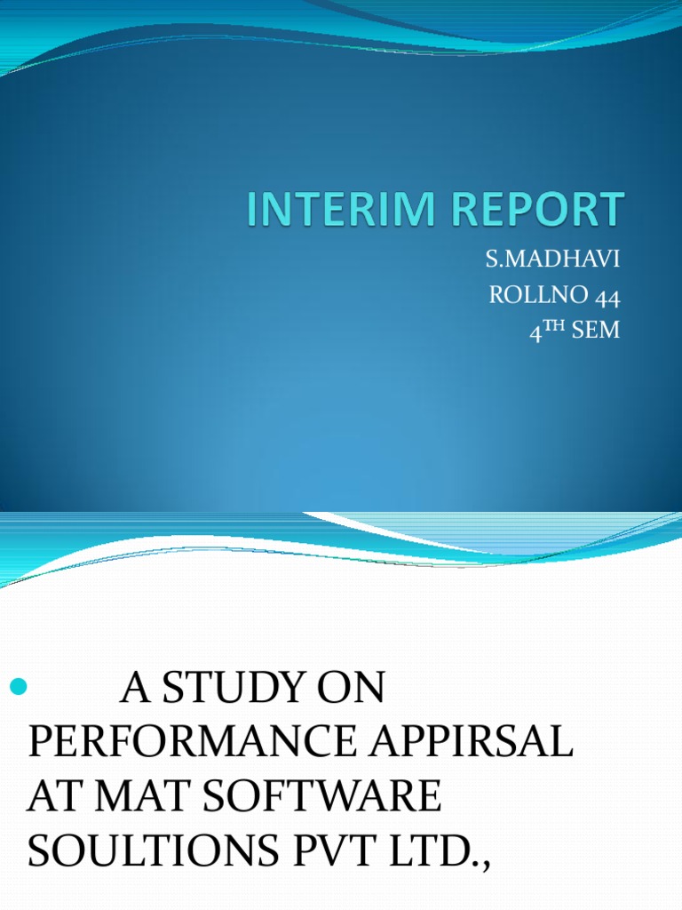 Project Interim Report | PDF