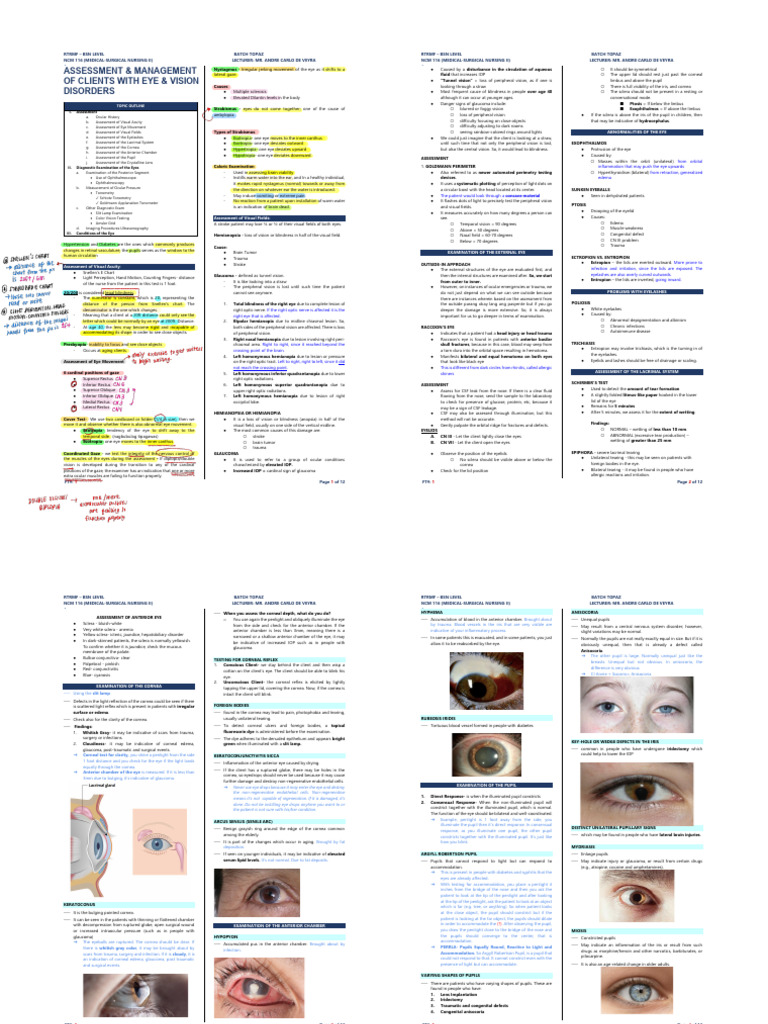 Ms de Veyra Assessment of The Eye and Vision Disorders | PDF | Cornea | Glaucoma