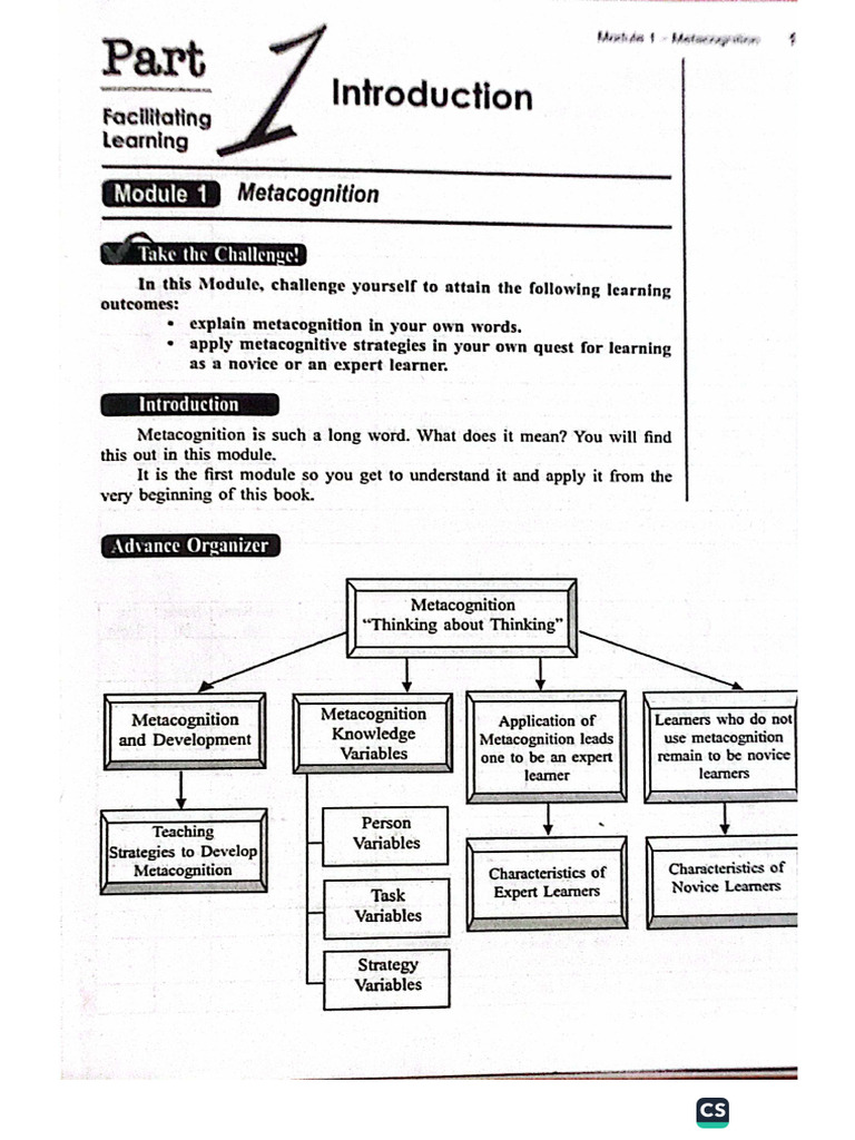 Facilitating. Metacognition | PDF