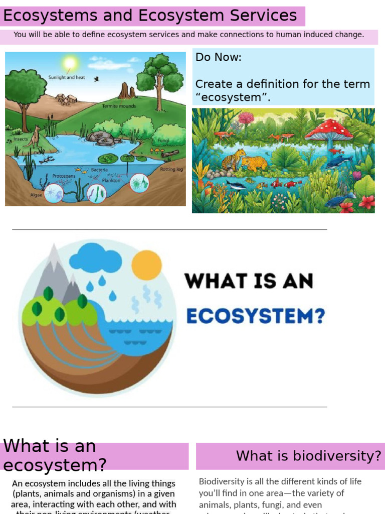 Ecosystem Services | PDF | Ecosystem | Natural Environment