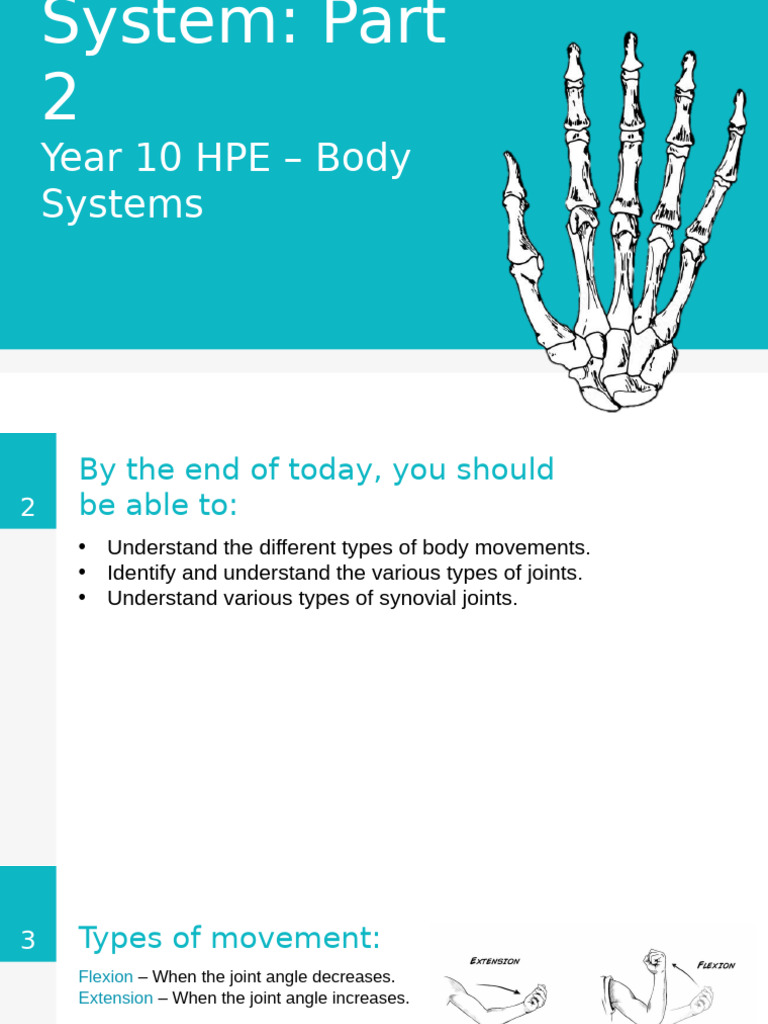 Skeletal System Part 2 (1) (1) | PDF | Anatomical Terms Of Motion ...