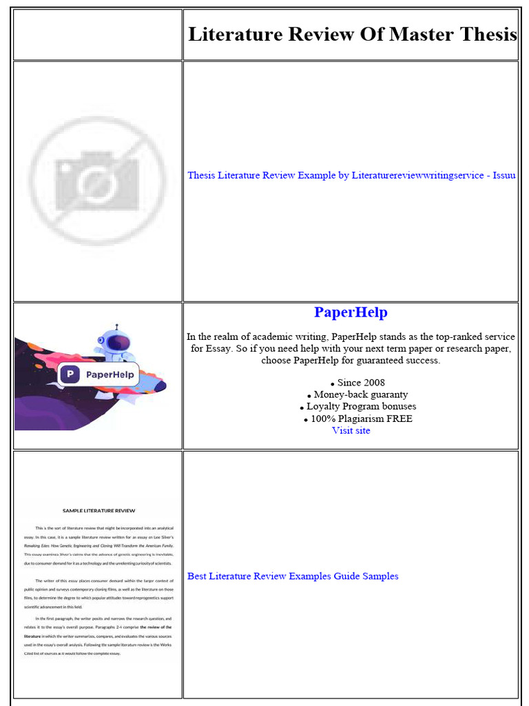 Literature Review of Master Thesis | PDF | Thesis | Essays