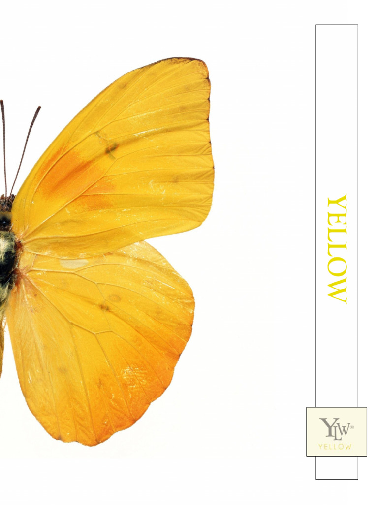 Marketing Report On Yellow by Beximco | PDF | Brand | Clothing