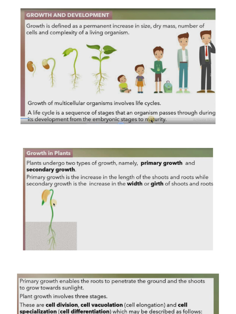 biology lesson growth and germinatio | PDF