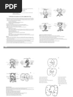 Head Cheese Sign - Print Friendly - STATdx | PDF | Respiratory Diseases ...