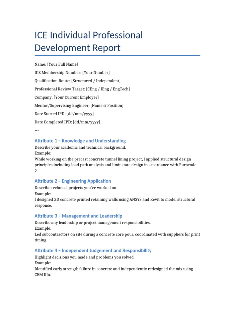 ICE IPD Template With Examples | PDF | Business