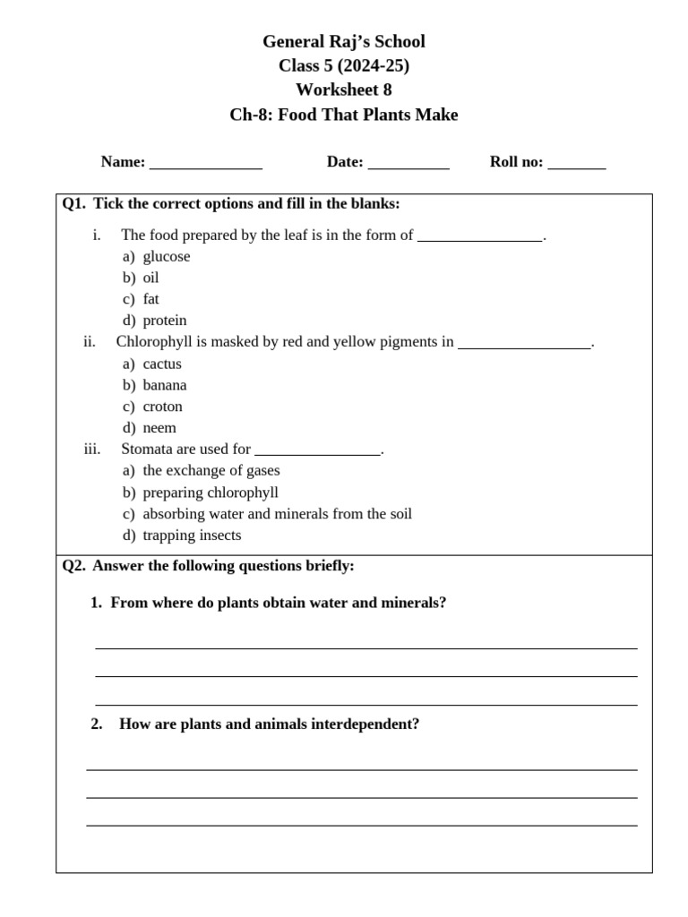 Worksheet - Food That Plant Make | PDF
