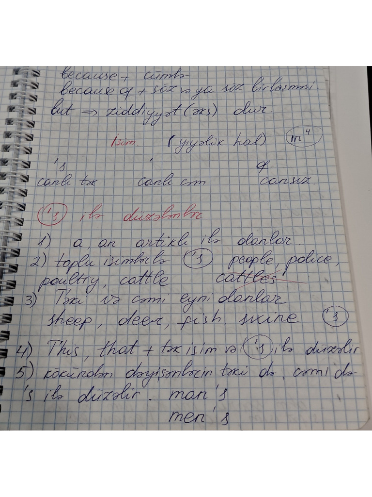 İngilis Dili Qaydalar | PDF