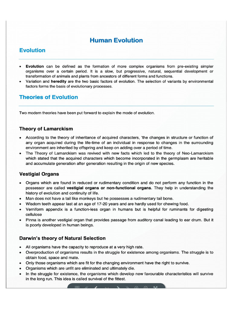 Human Evolution | PDF