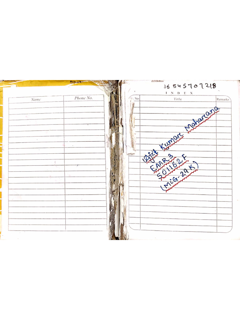 Maharana Sir Dairy Notes-1 | PDF
