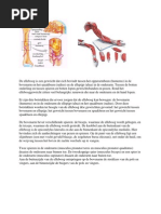 Processus Styloideus Ulnae - Wikipedia | PDF