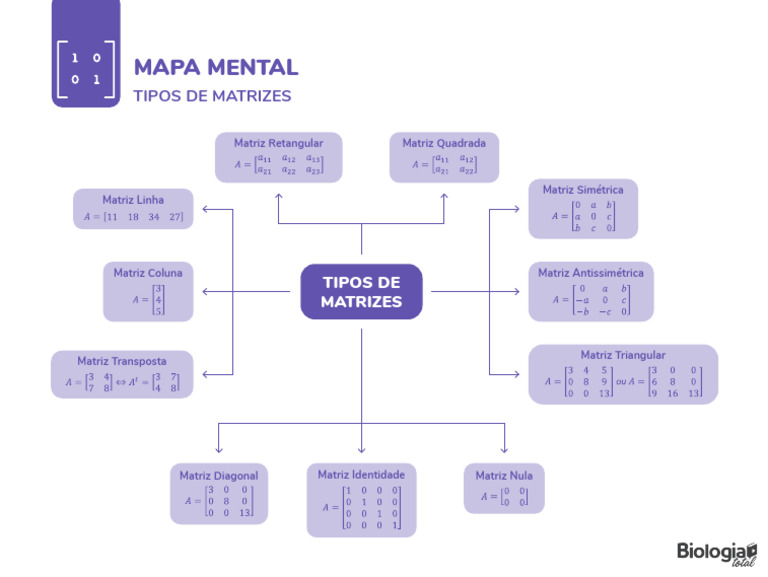 MAPA MENTAL_Matrizes_Tipos de Matrizes | PDF