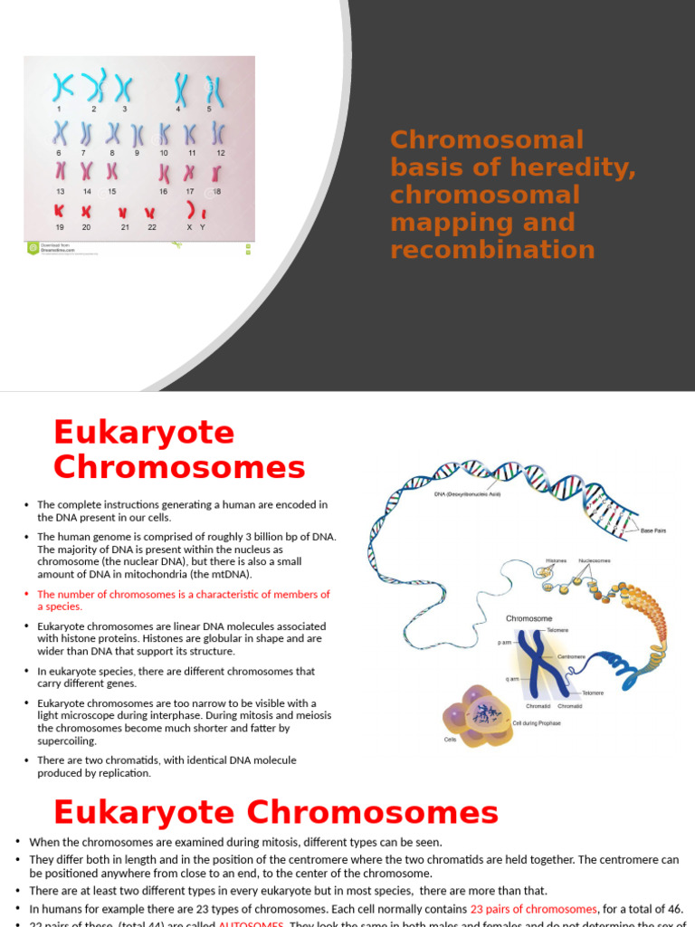 Presentation 4 - Chromosomal Basis of Heredity, Chromosomal Mapping and ...