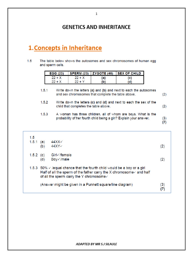 Genetics and Inheritance Overview | PDF | Chess | Chess Theory