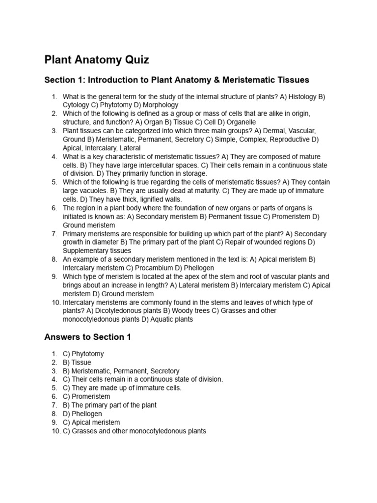 Plant Anatomy Quiz: Meristems & Tissues | PDF | Tissue (Biology ...