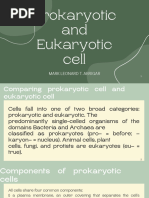 Prokaryotic Cells Revision Notes - A-Level Biology CIE - Cognito | PDF