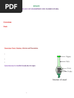 Types of Dry Indehiscent Fruits | PDF | Fruit | Seed
