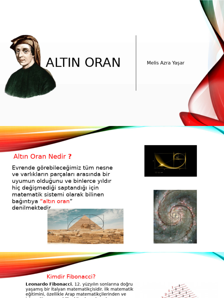 Altın Oran | PDF