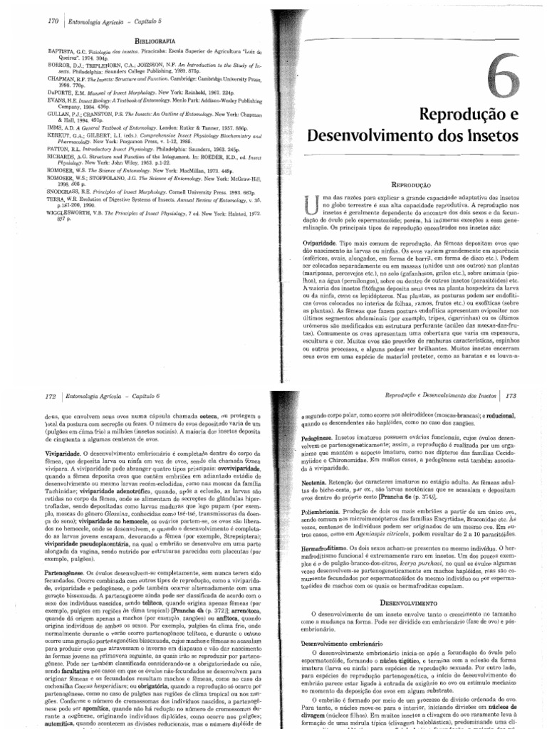 Reprodução de Desenvolvimento Dos Insetos | PDF