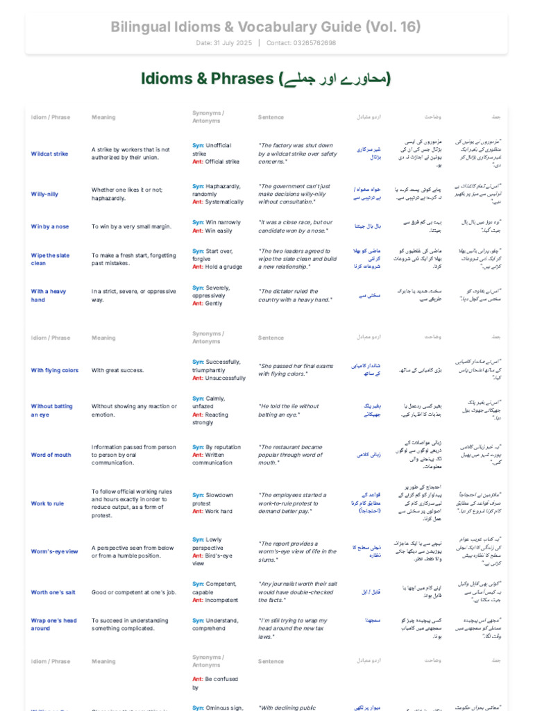 Idioms & Vocabulary Guide Vol. 16 | PDF