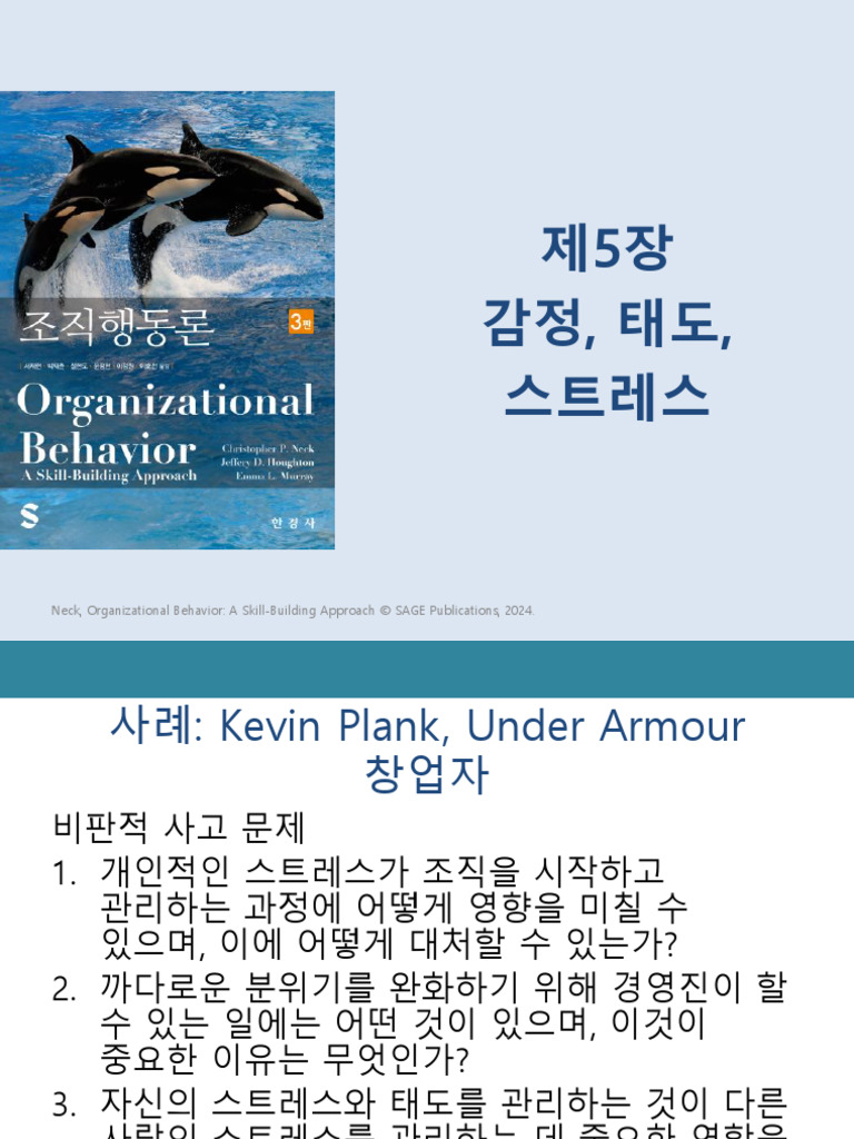 Neck3e_PPT_ch05 | PDF