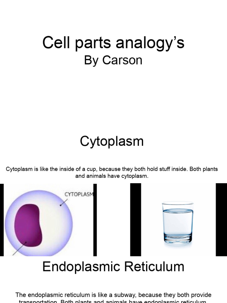 Cell Parts | PDF