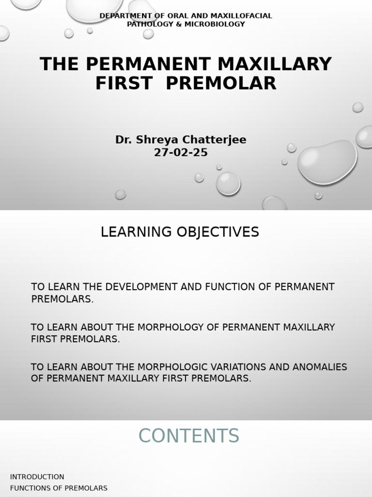 Permanent Maxillary First Premolar | PDF | Dental Anatomy | Primate Anatomy