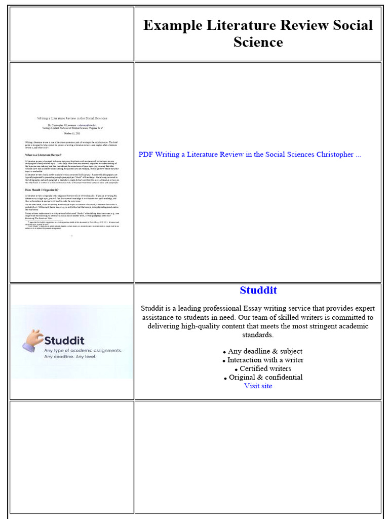 Example Literature Review Social Science | PDF | Thesis | Essays