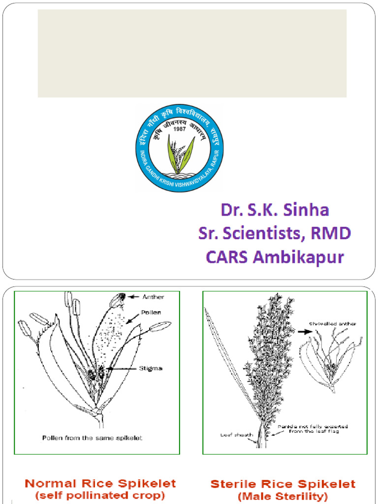 9 Male Sterility Self Incompatibility by Dr. S.K. Sinha | PDF ...