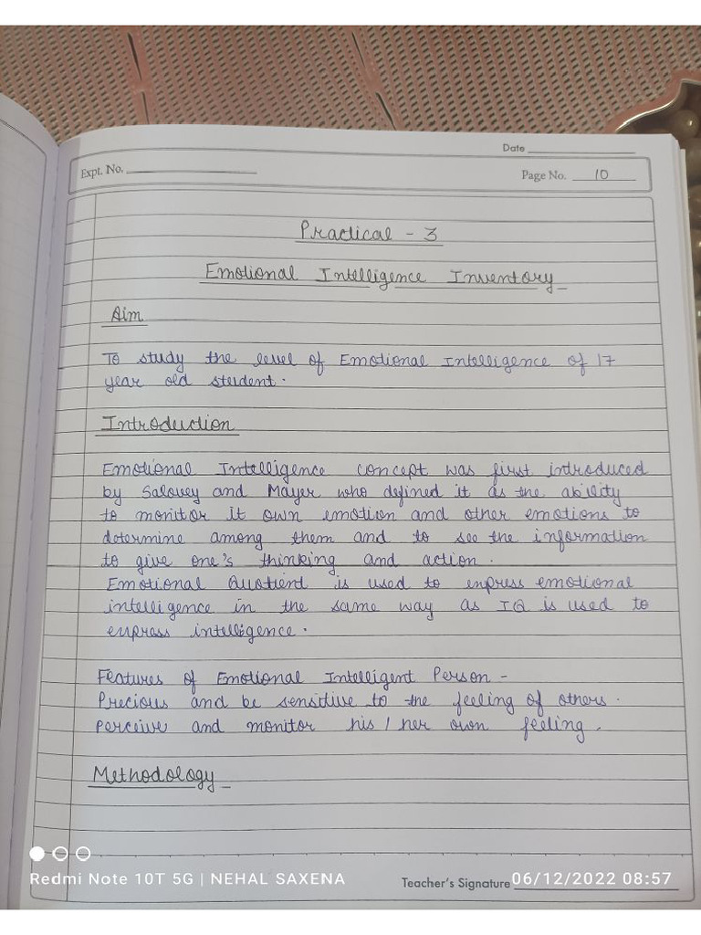 Practical 3 Emotional Intelligence Inventory | PDF