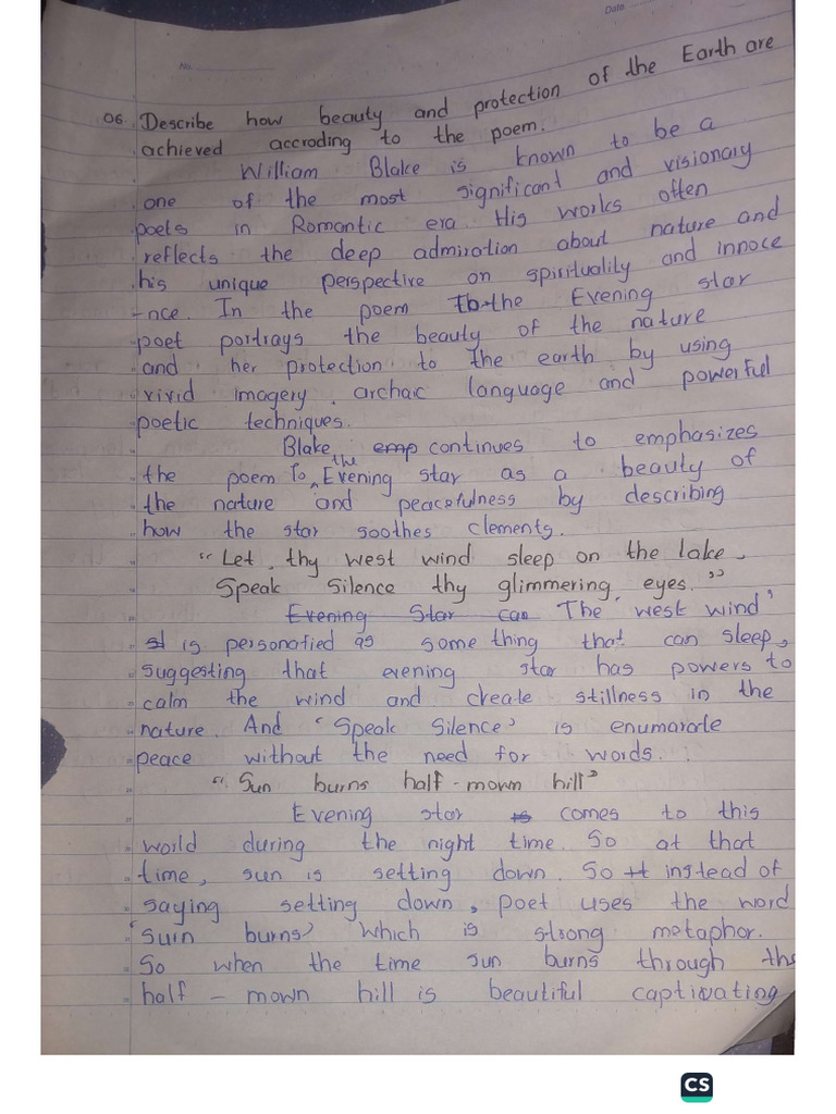 Lit Essay Type Question Answers | PDF