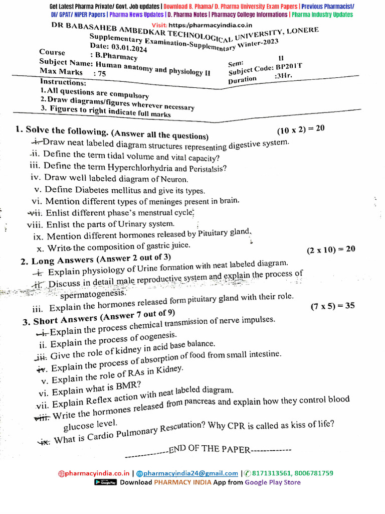 Hap II Winter 2023 | PDF