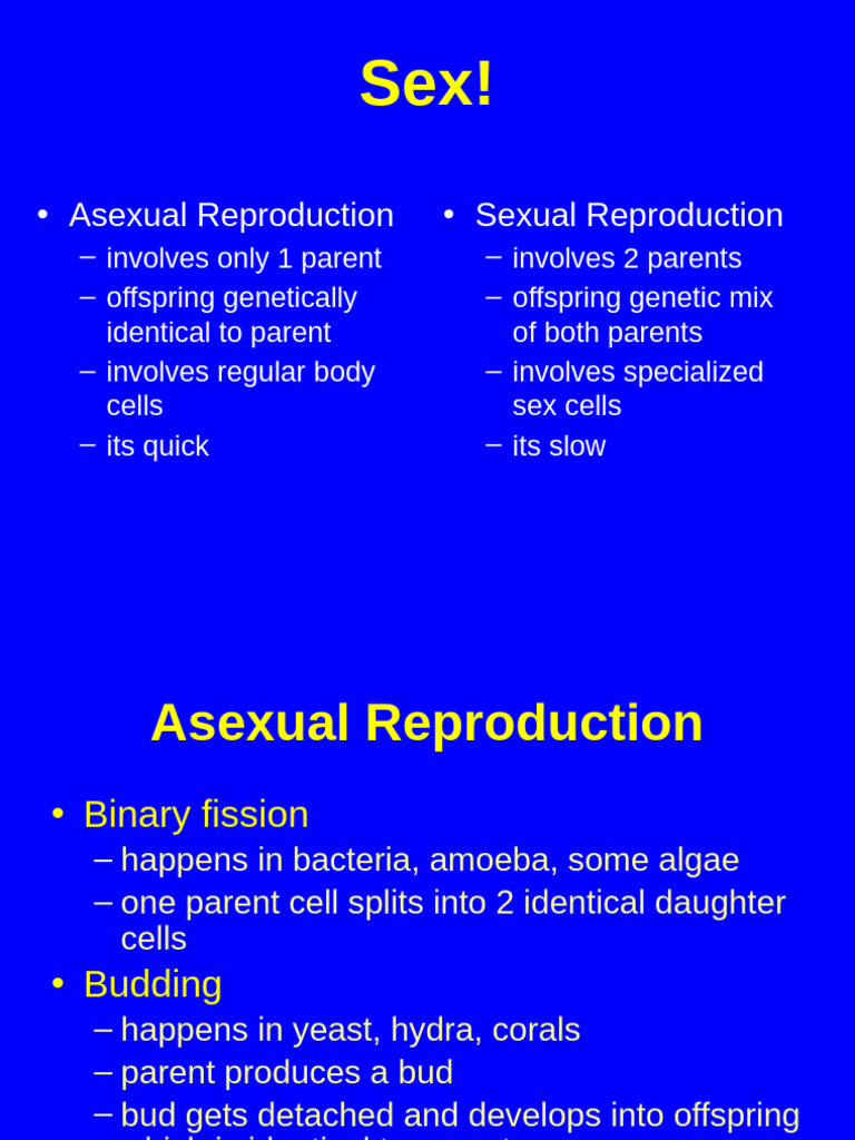 Asexual vs. Sexual Reproduction Explained | PDF | Sexual Reproduction ...