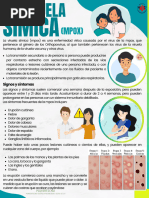 Regla de Wallace para Quemaduras | PDF | Anatomía humana | Anatomía de ...
