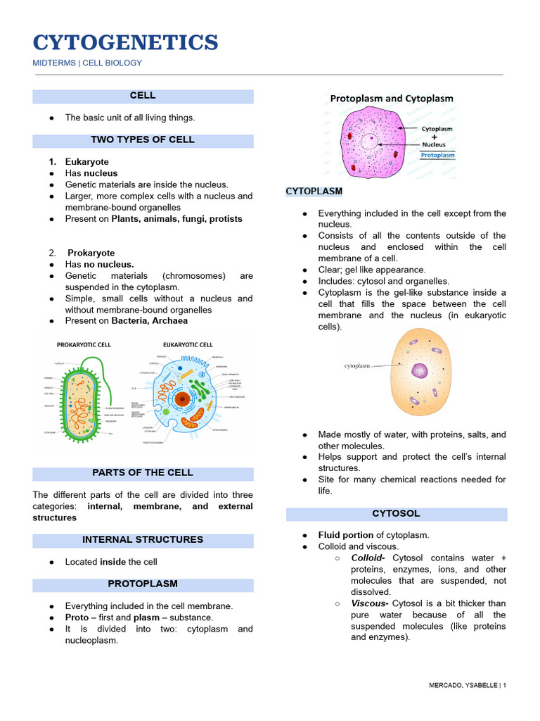 Cytogenetics - Cell Biology | PDF | Cell (Biology) | Endoplasmic Reticulum