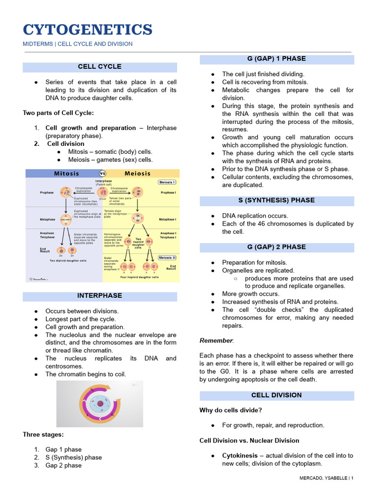 Cytogenetics: Cell Cycle and Division | PDF | Meiosis | Mitosis