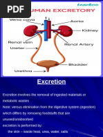 Module Excretory System | PDF | Human Body | Excretion