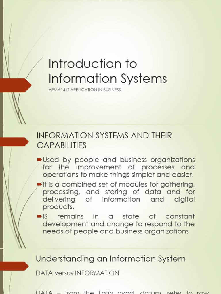 Understanding Information Systems in Business | PDF | Software ...