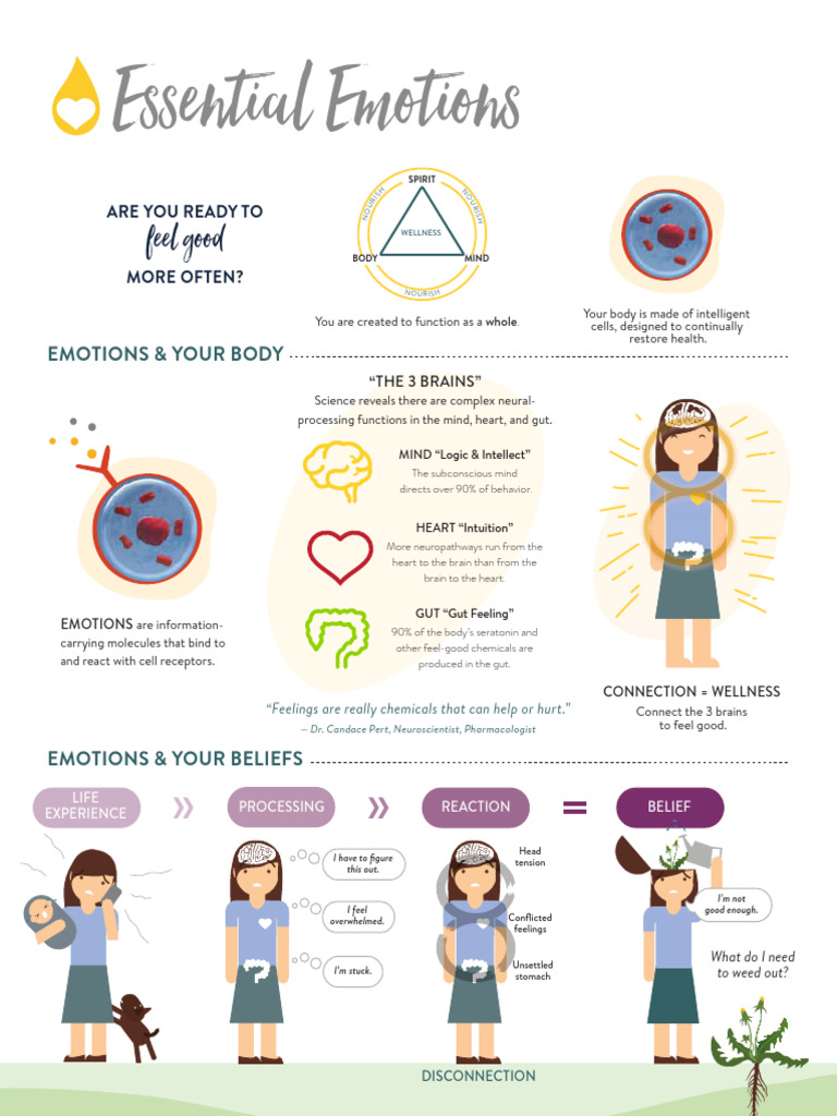 Essential Emotions Class Handout | PDF | Essential Oil | Mind