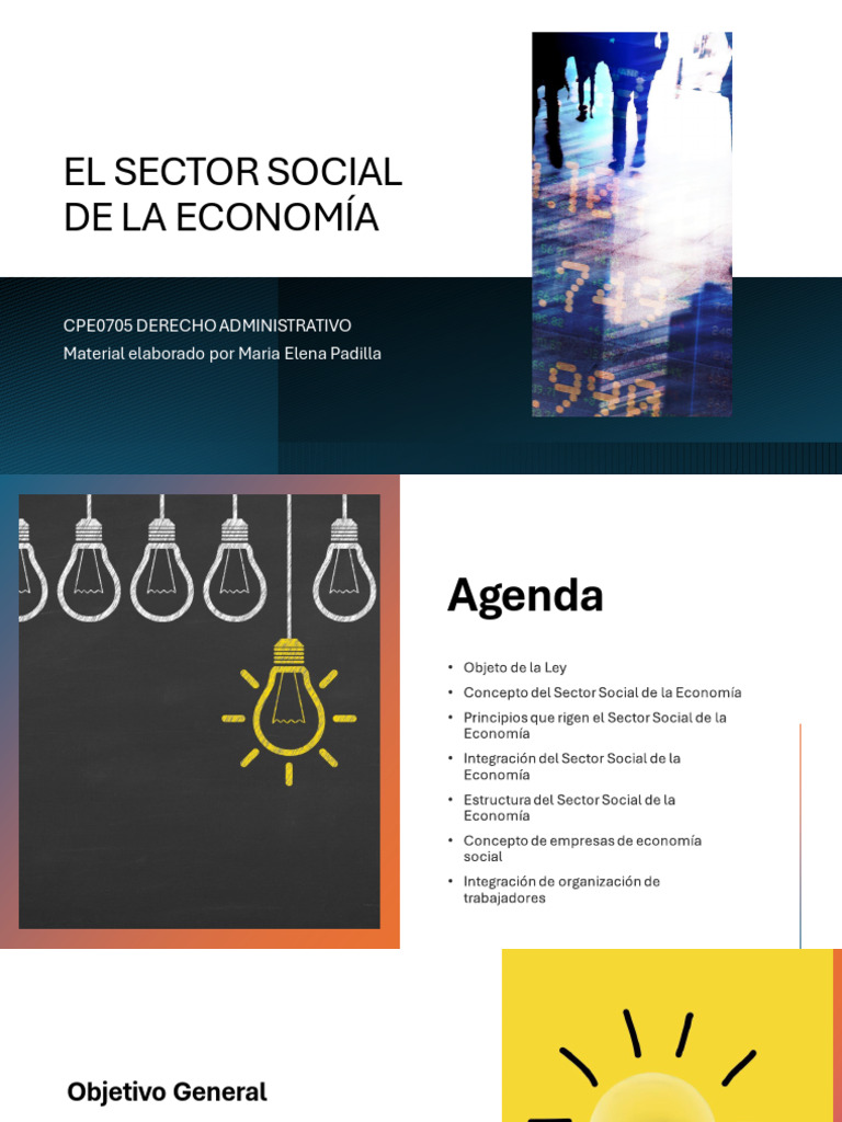 Cpe0705-El Sector Social de La Economia (Sse) | PDF | Cooperativa ...