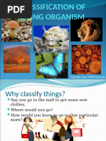 Taxonomy Foldable | PDF | Taxonomy (Biology) | Cell (Biology)