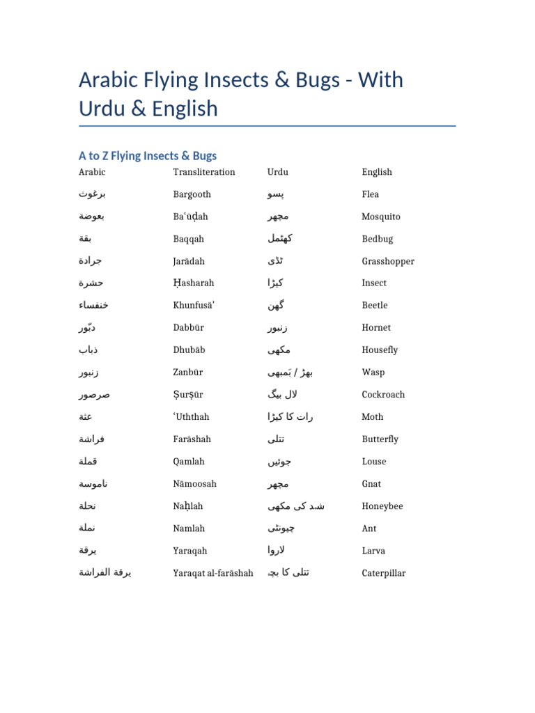 Arabic Insects Flying Bugs A To Z | PDF