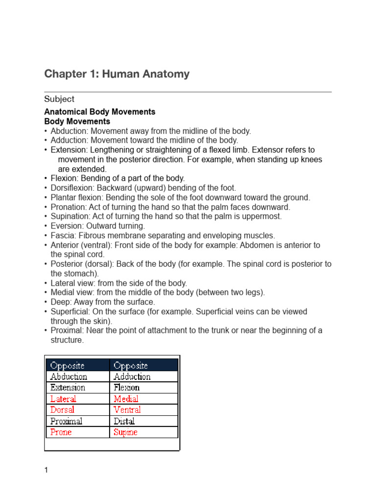 Anatomy of Fascia and Muscle Movement | PDF | Anatomical Terms Of ...