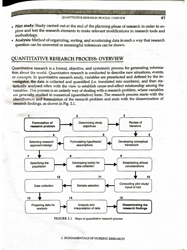Quantitative and Quantitative Research Process | PDF